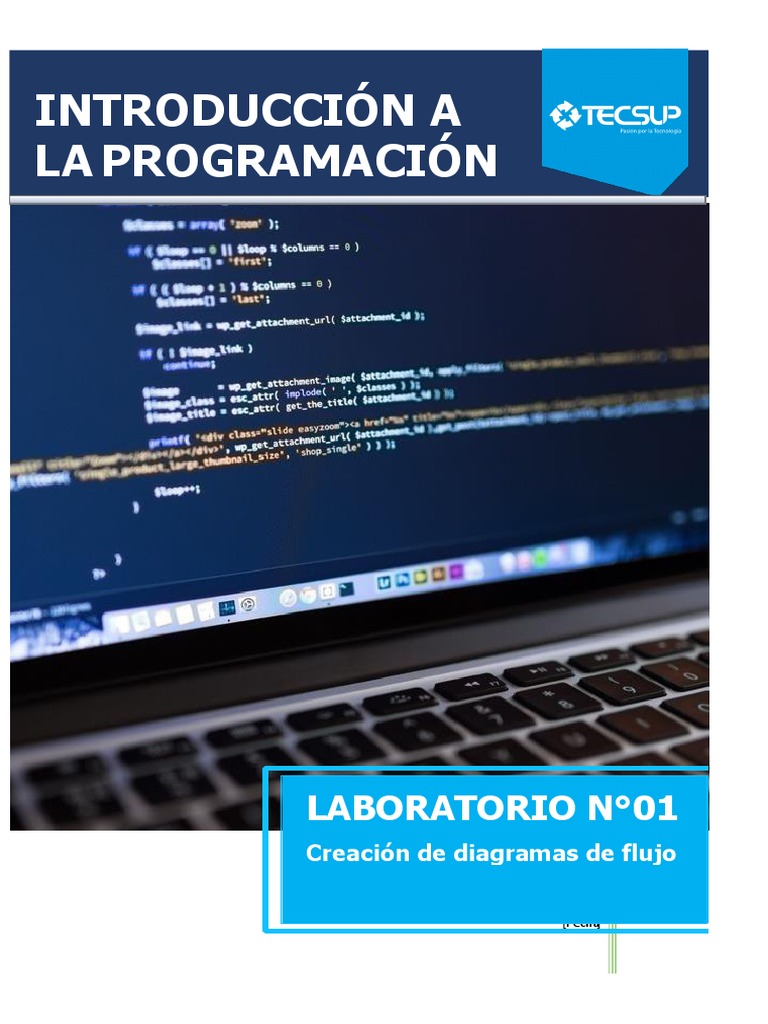 Laboratorio1 Creación de diagramas de flujo | PDF | Algoritmos | Programación de computadoras