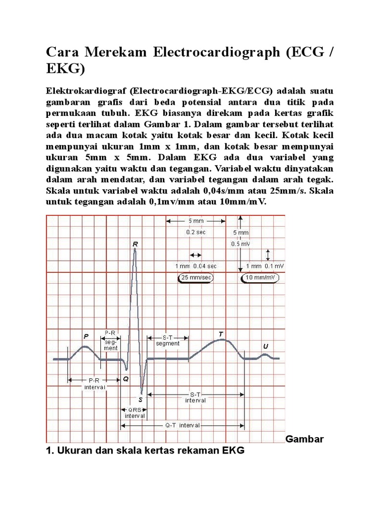 Cara Rekam ECG | PDF | Seni | Sains & Matematika