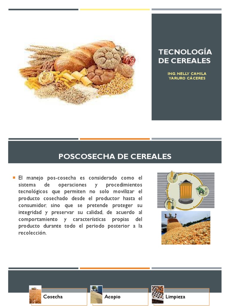 Tecnología de Cereales | PDF | Panes | Cosecha