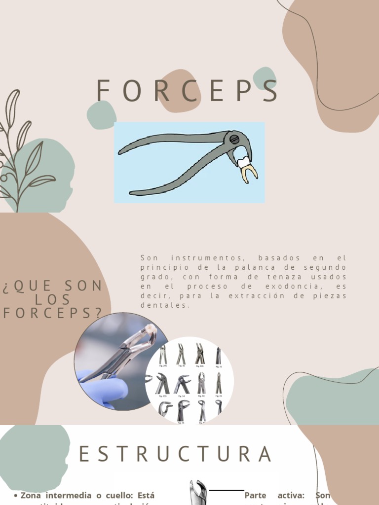 Forceps | PDF | Diente | Ramas de Odontología