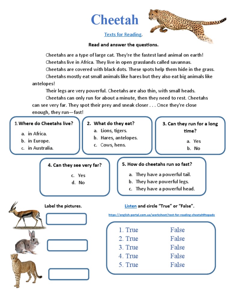Cheetah Text For Reading Animals - 128492 | PDF