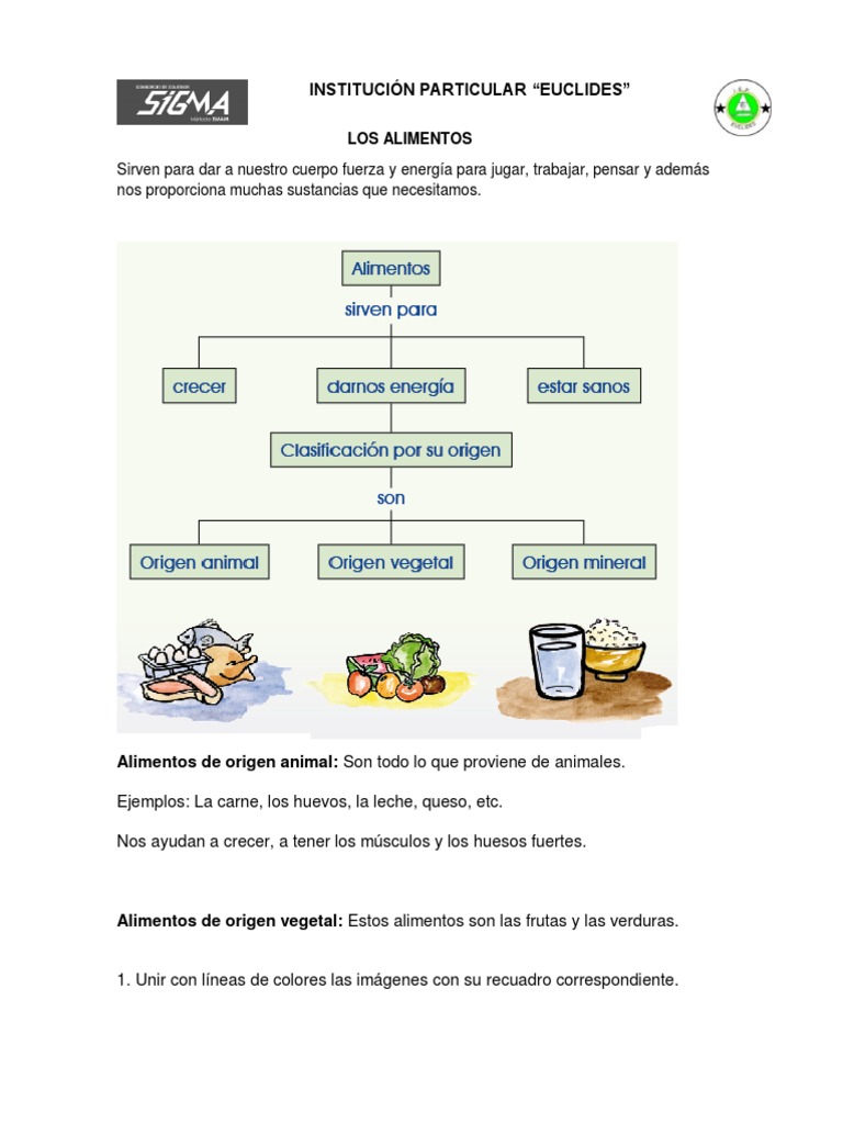 Los Alimentos 1ro | PDF