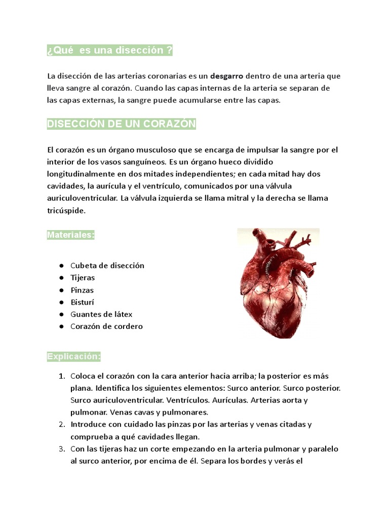 Disección de Un Corazón - PDF | PDF