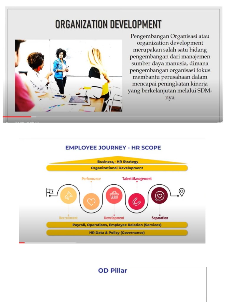 Od - Organization Development | PDF