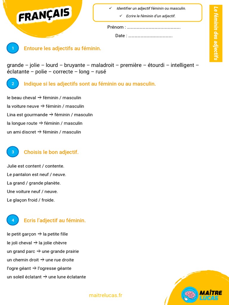 Feminin Des Adjectifs 1 | PDF | Arts du langage et discipline | Études ...