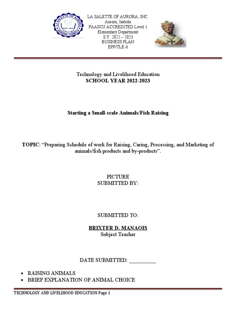 Epp 6 Business Plan | PDF