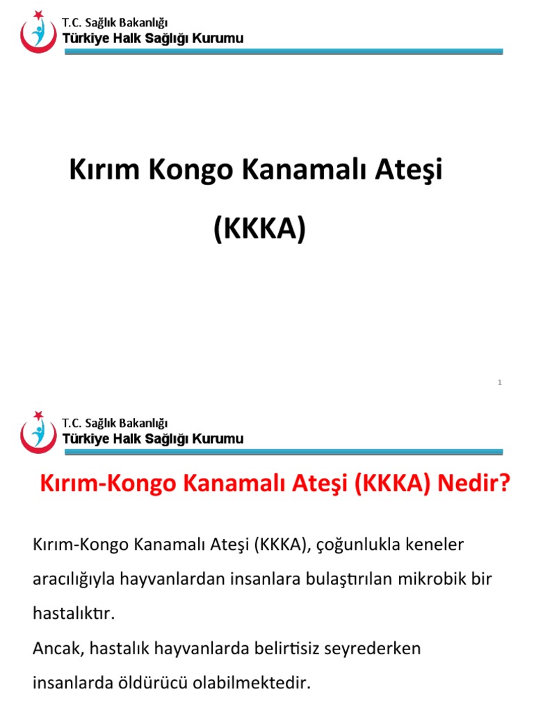 Kkka-Sağlik Bakanliği | PDF