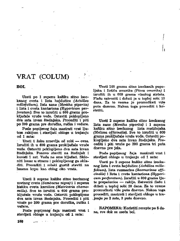 Anatomija - Vrat | PDF