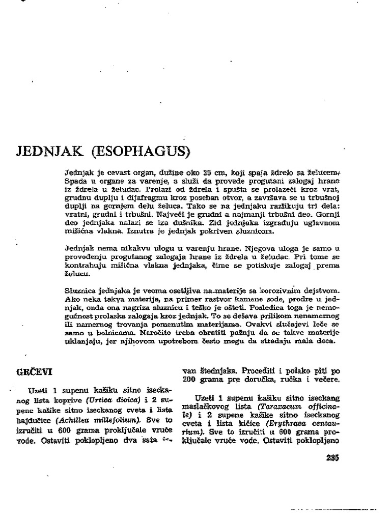 Anatomija - Jednjak | PDF