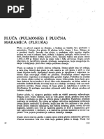 Anatomija - Zdrijelo | PDF