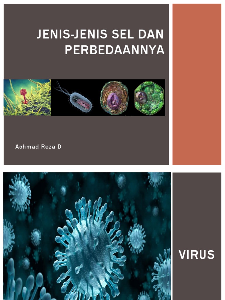 Jenis Sel: Prokariot dan Eukariot | PDF