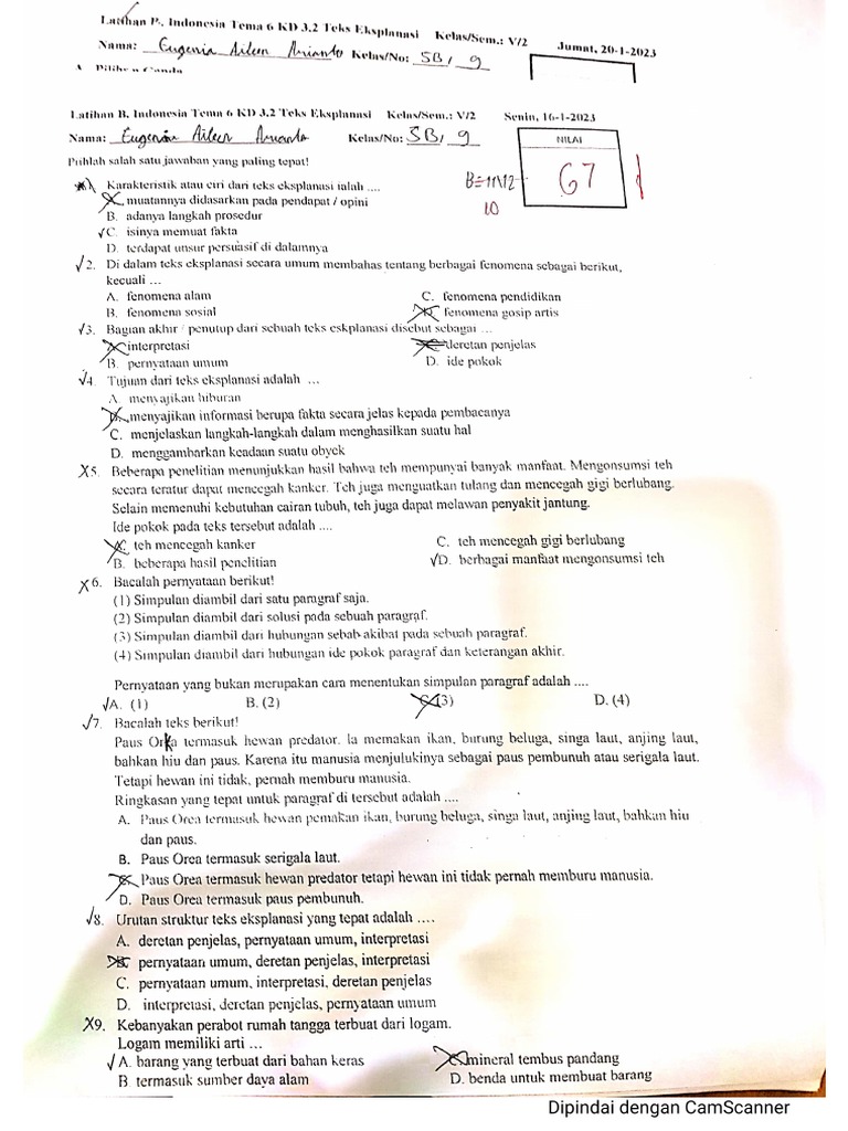 B.indo Kelas 5 Aileen | PDF
