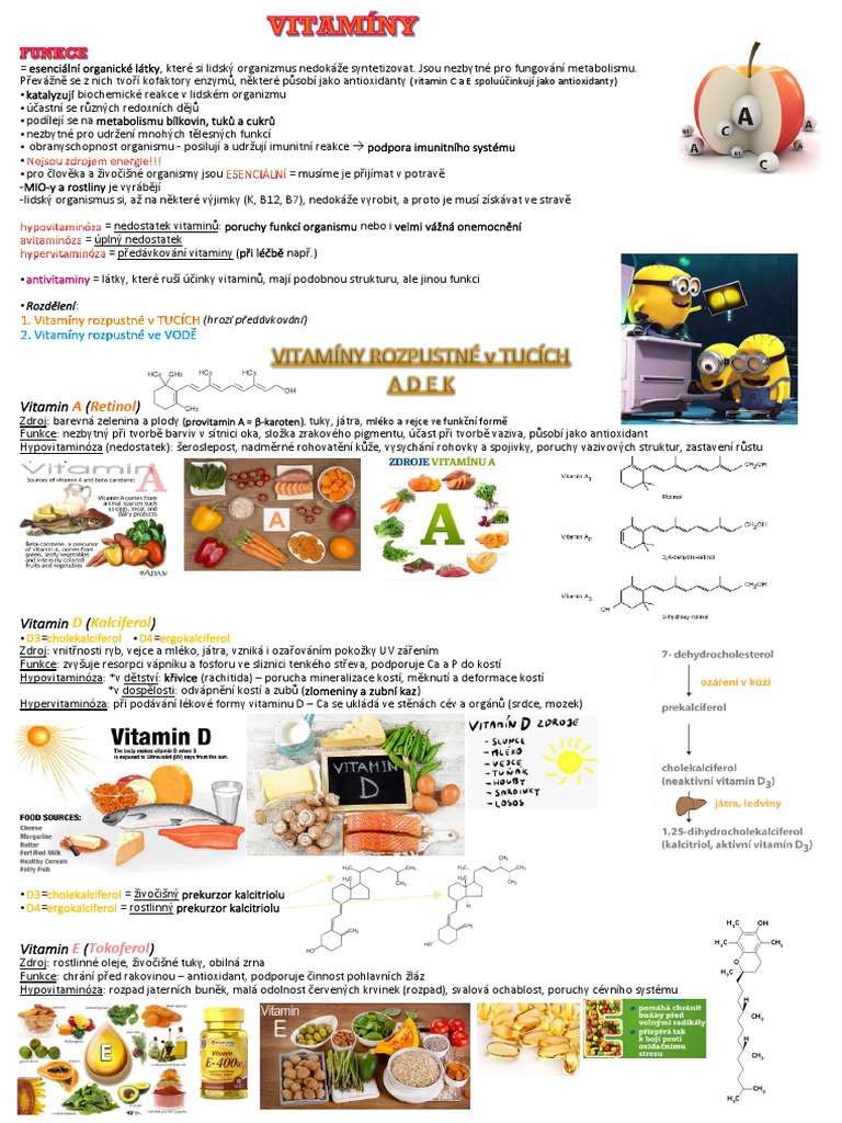 Vitaminy | PDF