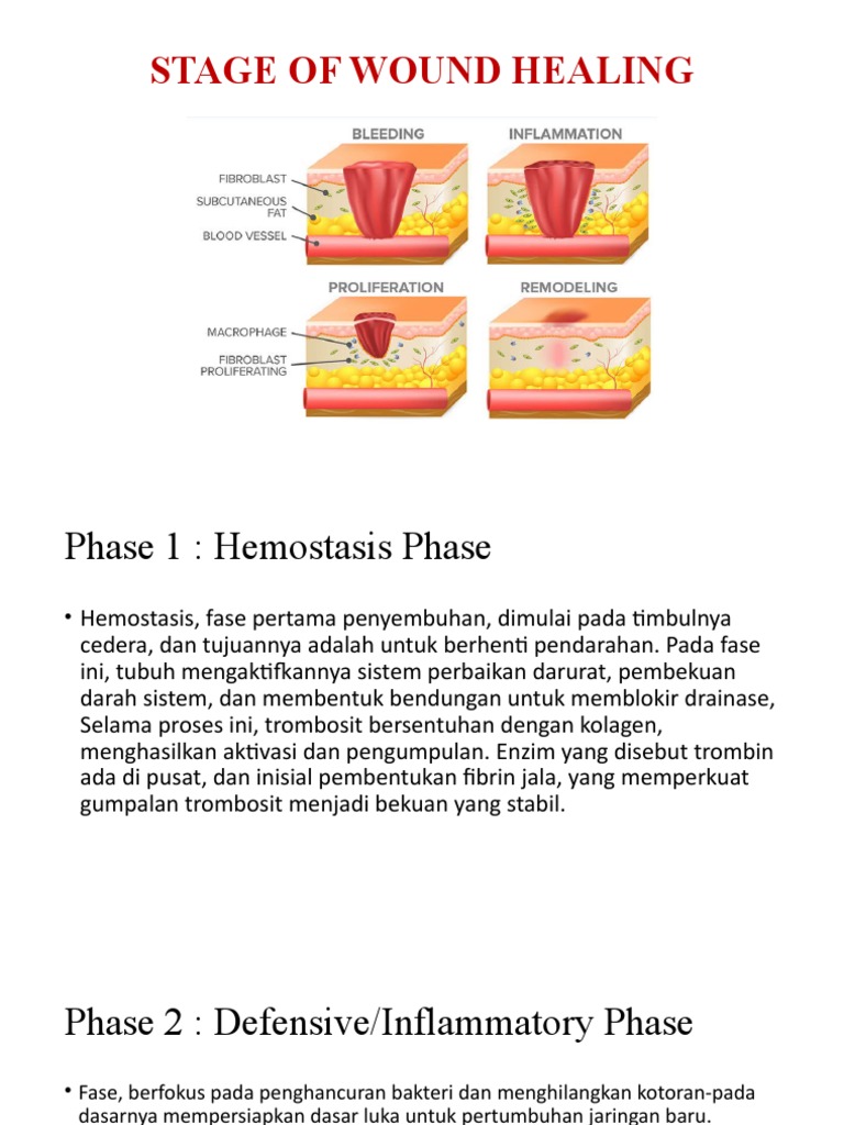 Stage of Wound Healing | PDF