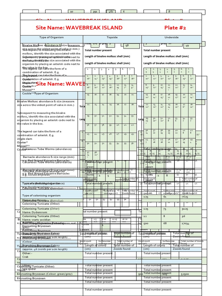 Wavebreak Island - ALL DATA | PDF | Mollusca | Paleozoic First Appearances
