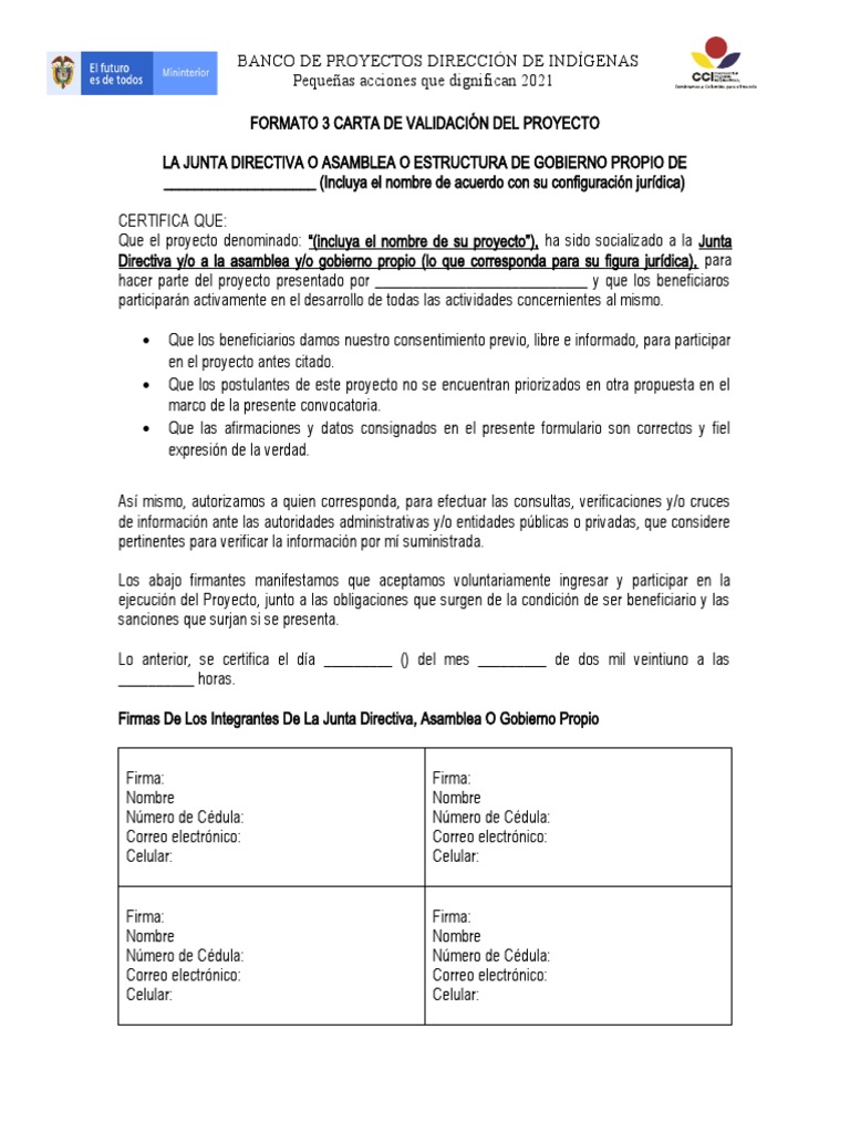 FORMATO-3-CARTA-DE-VALIDACIÓN-DEL-PROYECTO.docx | PDF | Gobierno