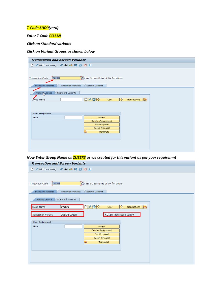 CO11N User Assignment Guide | PDF | Career & Growth | Computers