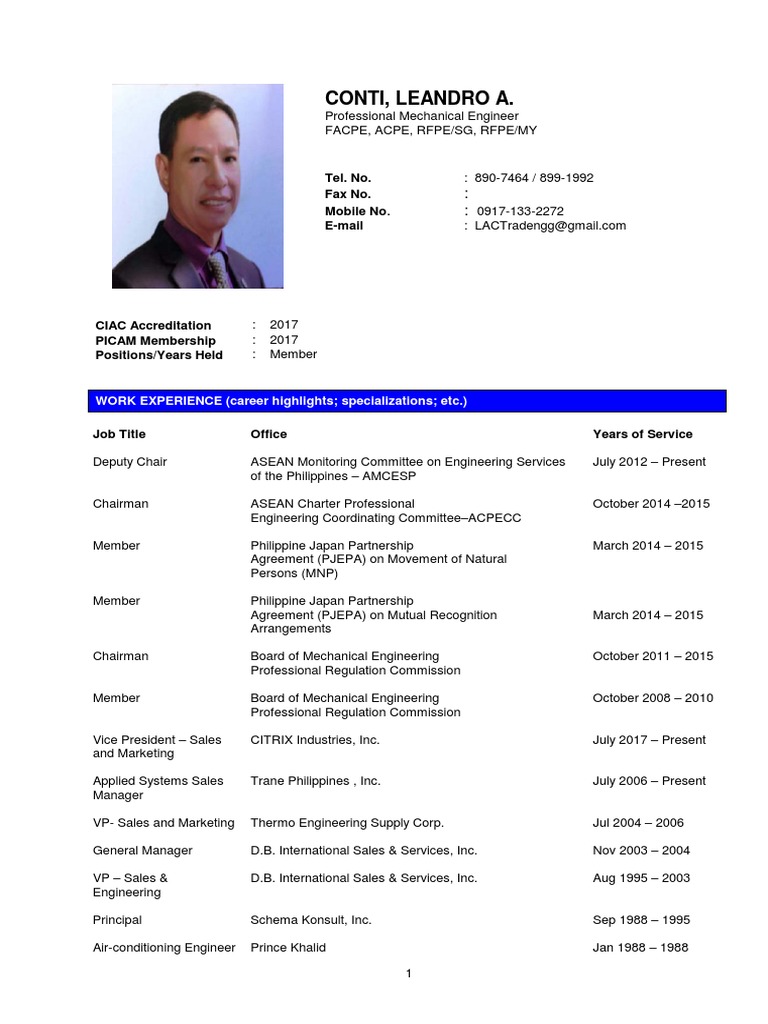 CONTI Leandro A PDF | PDF | Engineer | Engineering