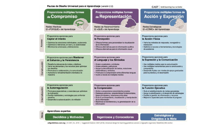 DUA - Actualizado | PDF