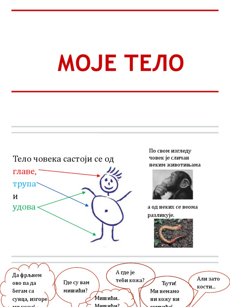 Moje Telo Valeri Stanojević | PDF