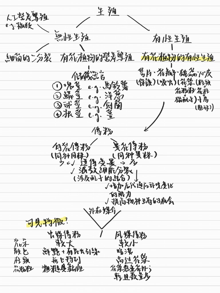 有花植物的生殖 230321 180637 | PDF