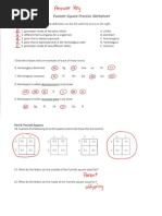 Dihybrid Cross Worksheet Answer Key | PDF