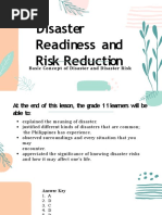 Rdneb Action Plan | PDF | Learning