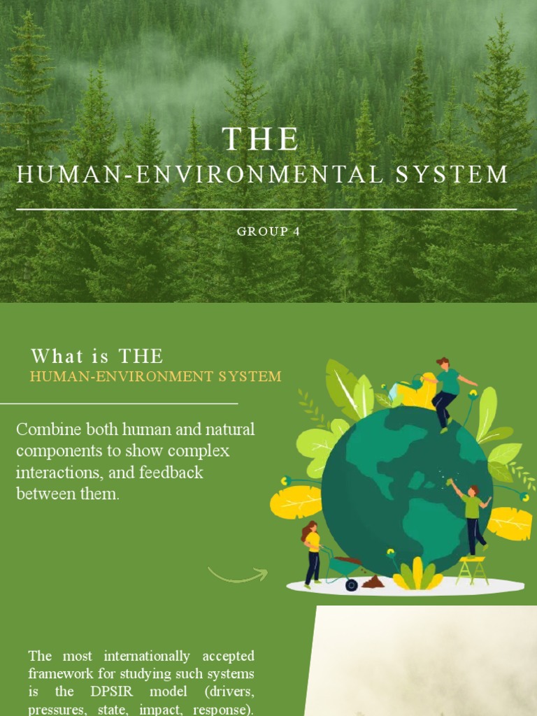 Human-Environmental System: Group 4 | PDF | Natural Environment | System