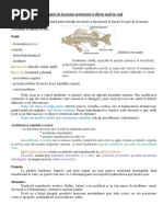 Transmiterea Ereditara A Unor Caractere Normale Si Patologice Schema Lectiei | PDF