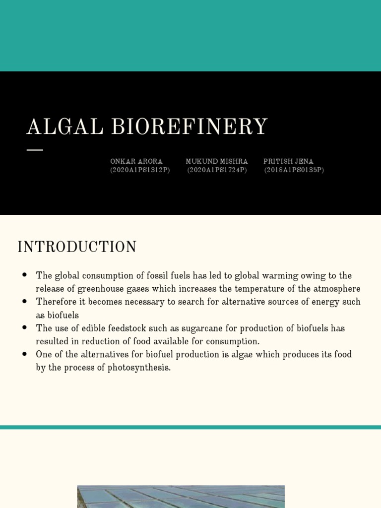 Algal Biorefinery | PDF | Algae Fuel | Biofuel