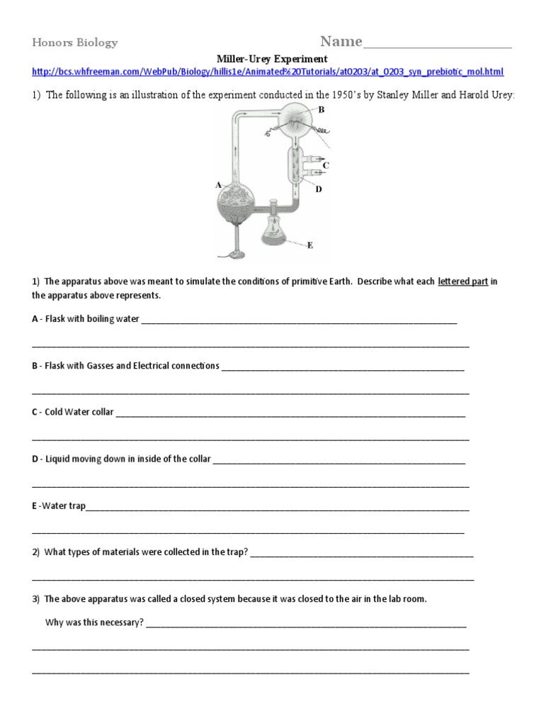 Miller-Urey Experiment Analysis | PDF | Law | Science & Mathematics