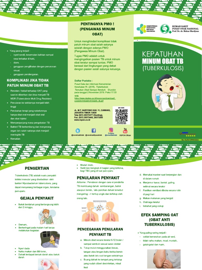 Kepatuhan minum obat TB | PDF