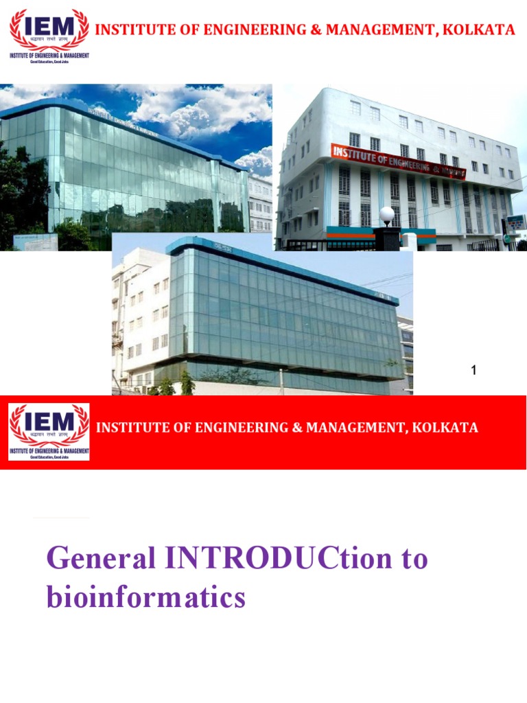 Bioinformatics 1 Pdf Pdf Translation Biology N Terminus