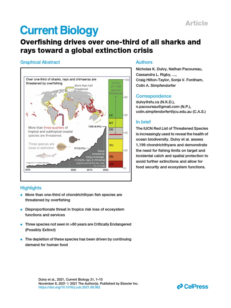 Overfishing Pushes Over One-Third of Shark and Ray Species Toward ...