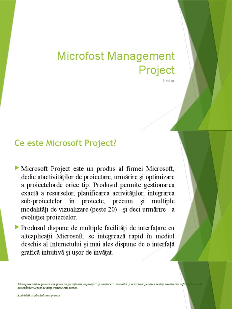Microsoft Management Project | PDF