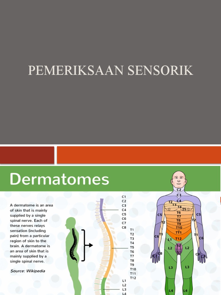 Pemeriksaan Sensorik dan Defisit Sensibilitas | PDF | Pengembangan Diri
