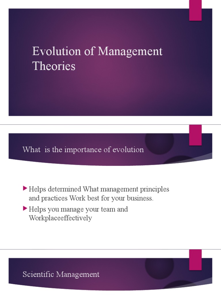 Management Theories | PDF