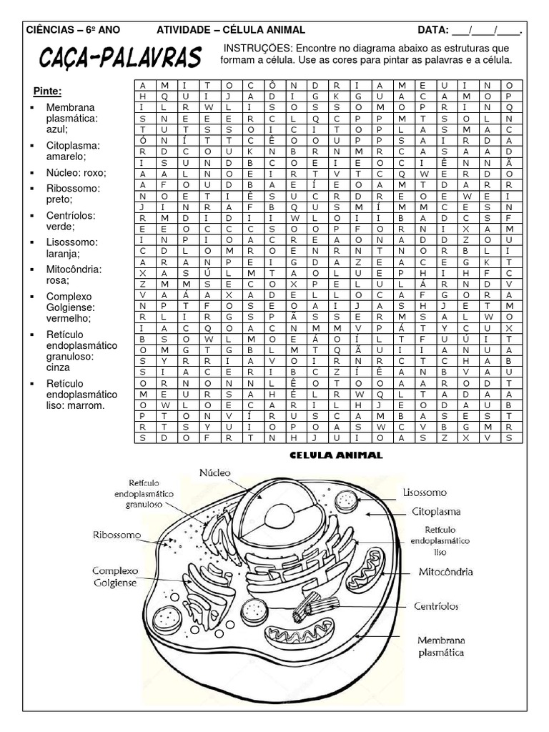 atividade caça palavras célula animal | PDF