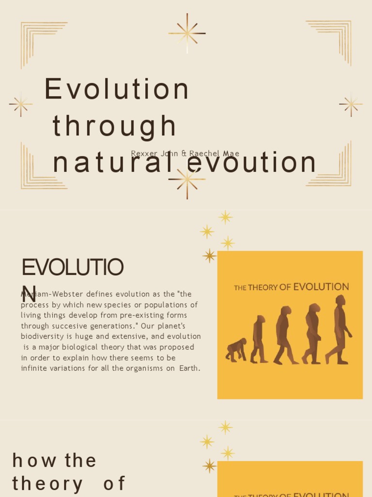Understanding Evolutionary Theories | PDF | Natural Selection | Evolution
