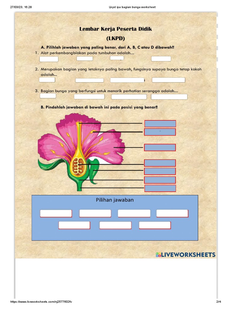 LKPD Ipa Bagian Bunga Worksheet | PDF