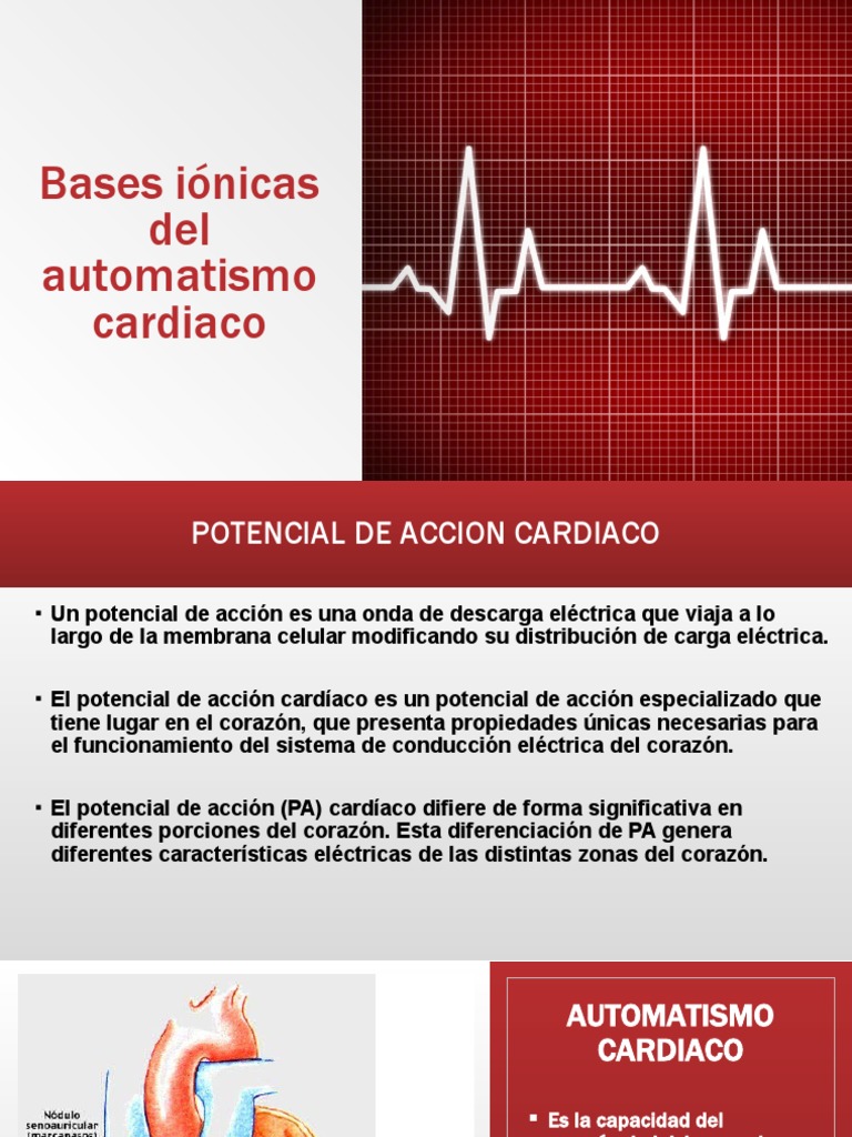 Bases Iónicas Del Automatismo Cardiaco | PDF