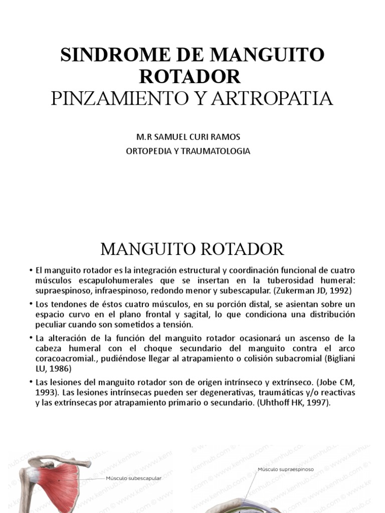 Tratamiento y diagnóstico del manguito rotador | PDF | Hombro | Sistema ...