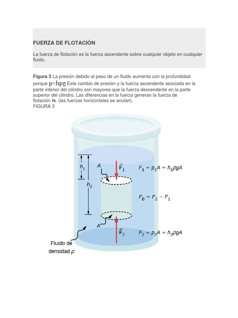 P HPG: Fuerza de Flotación | PDF | Flotabilidad | Ciencias fisicas
