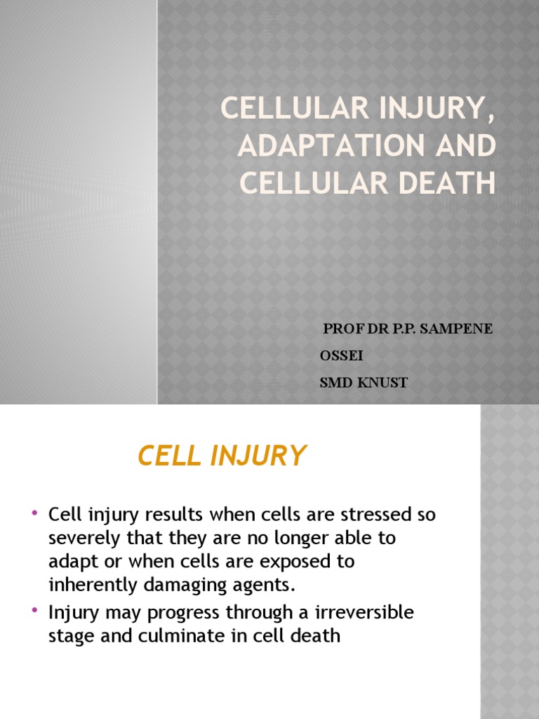 Cellular Injury, Adaptation and Cellular Death | PDF | Necrosis | Apoptosis