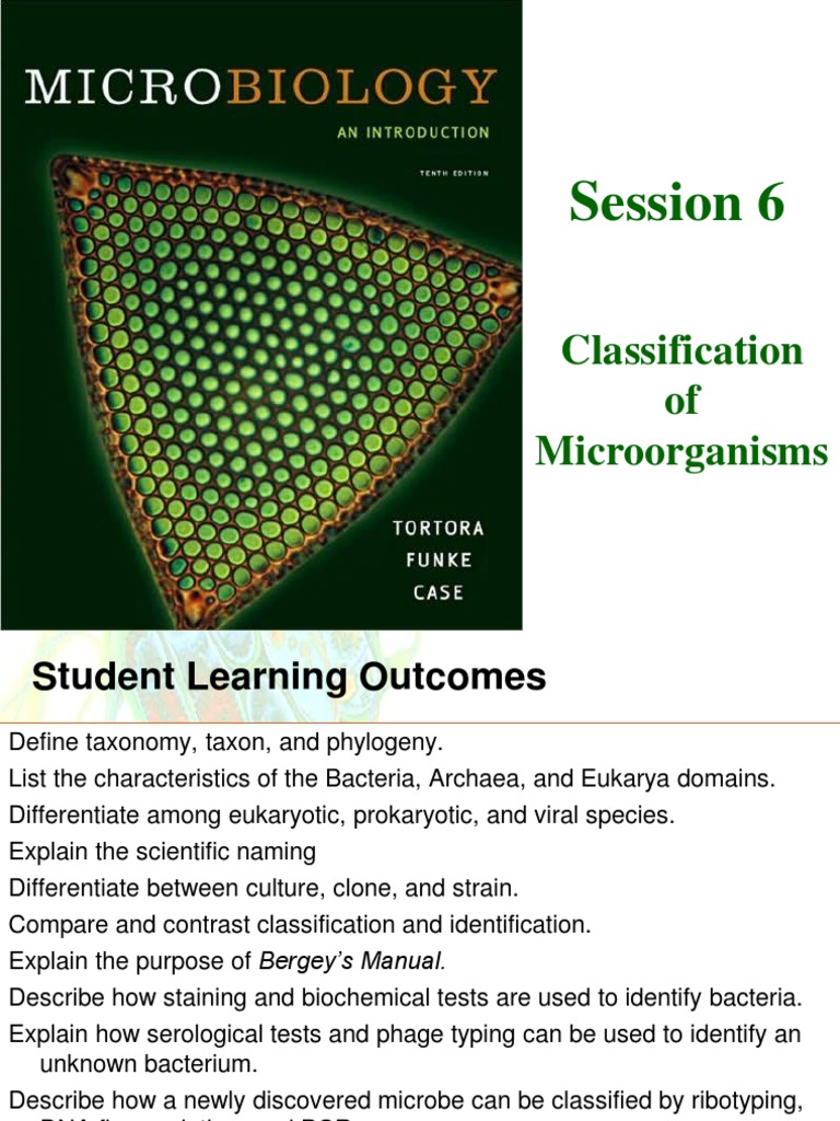 MIDTERM - SESSION 6 - Chapter 10 - Classification of Microorganisms PDF | PDF | Bacteria | Dna
