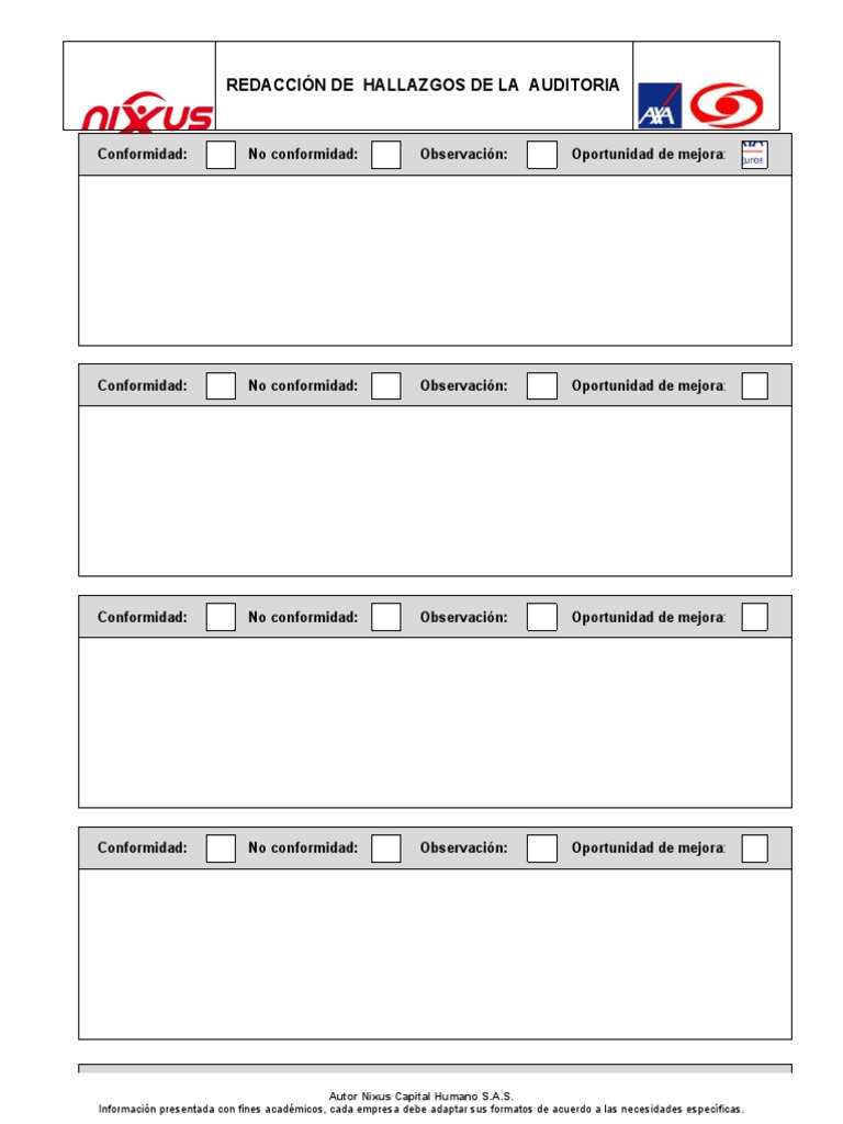 Redacción de Hallazgos de La Auditoria | PDF