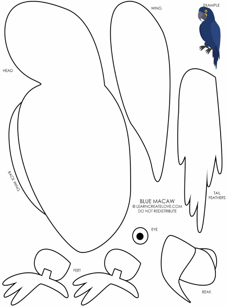 Blue Macaw | PDF