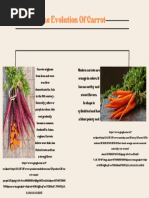 Carrot Origins and Historical Evolution | PDF | Carrot | Plants