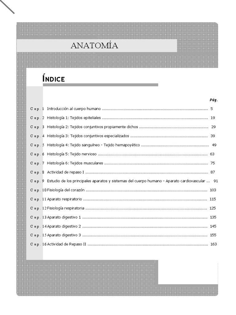 Anatomía: Ndice | PDF | Epitelio | Anatomía humana