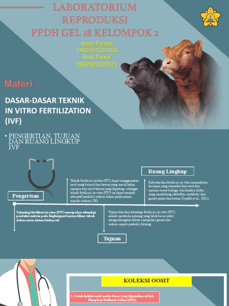 Dasar-Dasar Teknik in Vitro Fertilization (Ivf) | PDF